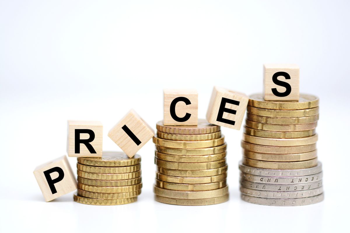 Impact of Price Changes on Consumer Behavior - Finblog.com