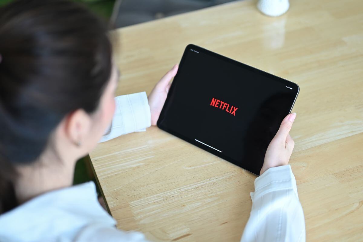 Who Owns Netflix? - Finblog