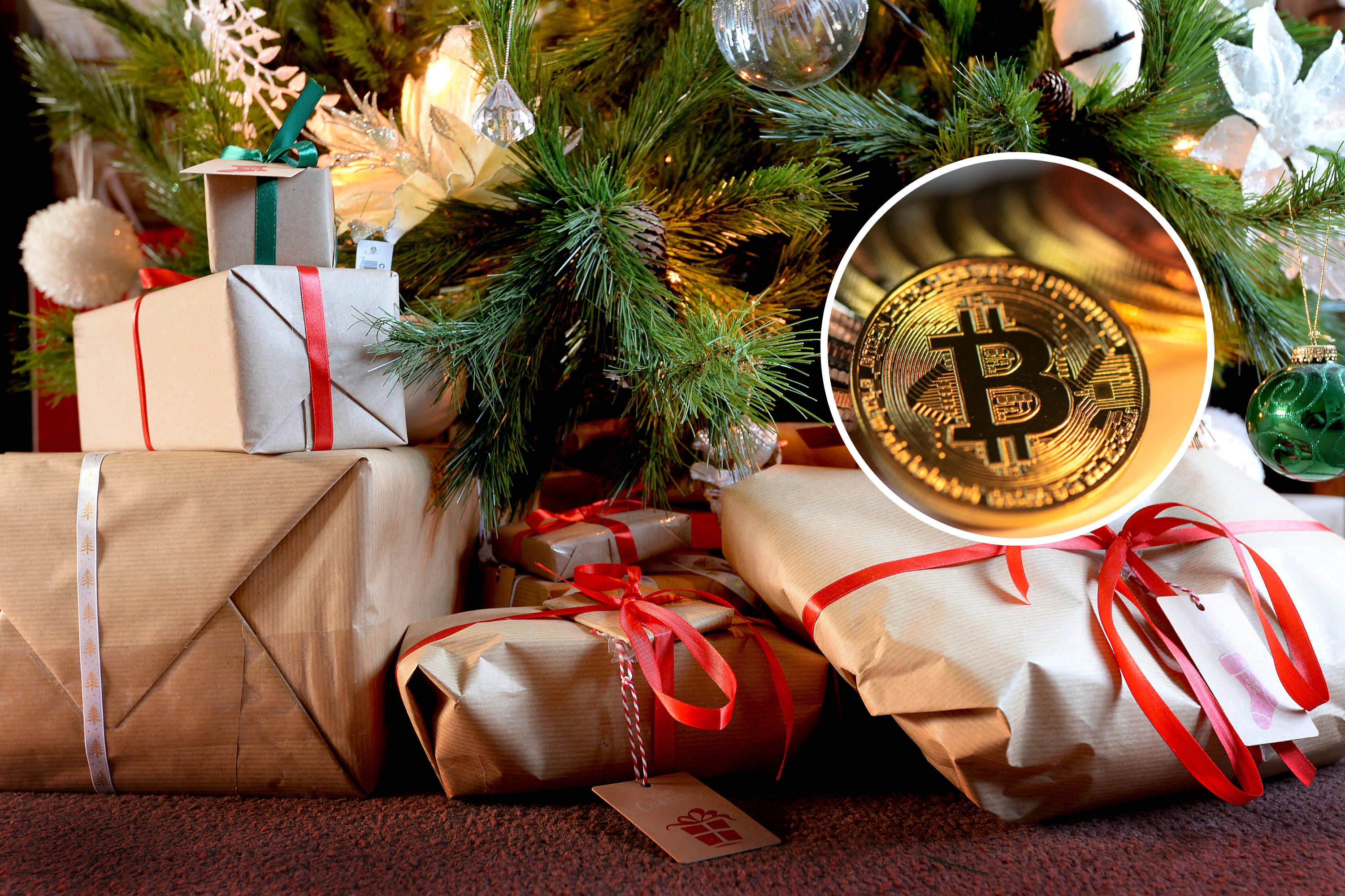 Crypto for Christmas? Gen Z Is Cautious, Curious, and Still Watching